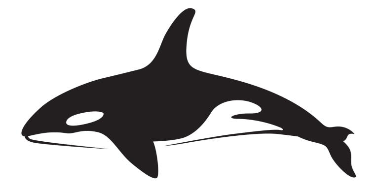ORCAS Consulting: Coastal Hazards, Climate Change, Tsunamis